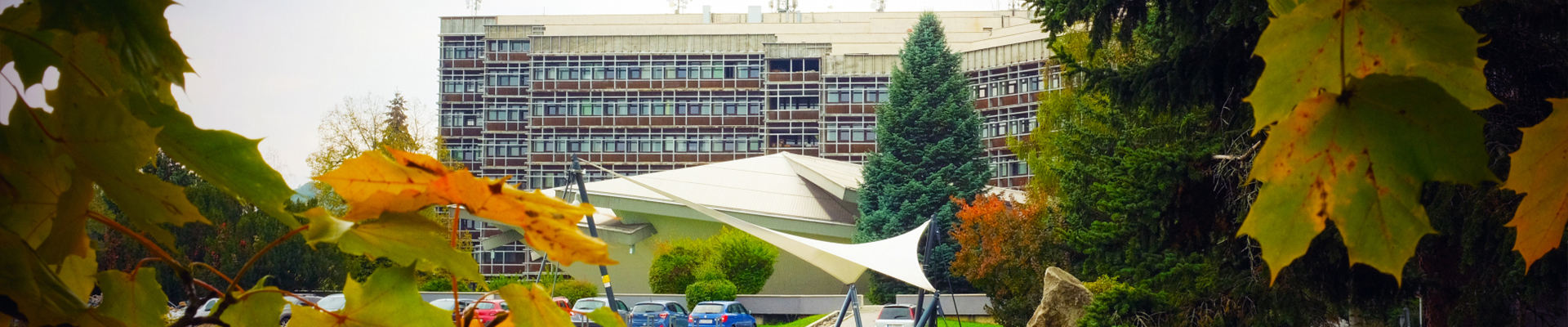 Foundation English Course at STU - Education in Slovakia