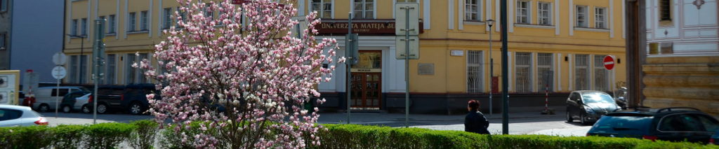 Matej Bel University – Education in the Slovak Republic